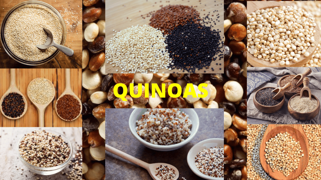 9 Scientific Benefits of Quinoa for Pregnant Women | Confirmed by a ...