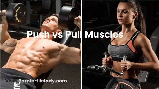 Push Vs Pull Muscles: Unraveling The Key Differences For Effective Workouts